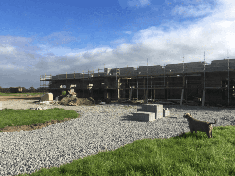 About | Veterinary Specialists Ireland - Supervets
