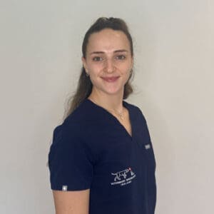 Our Team Surgeons, Nurses, Admin | Veterinary Specialists Ireland