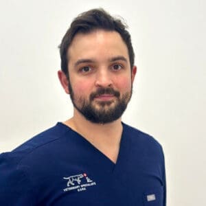 Our Team Surgeons, Nurses, Admin | Veterinary Specialists Ireland
